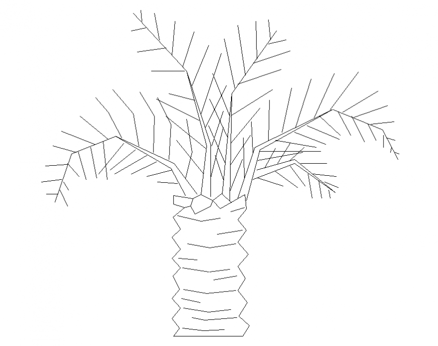 Prospectus palm tree front view cad block details dwg file Prospectus palm tree front view cad block details dwg file